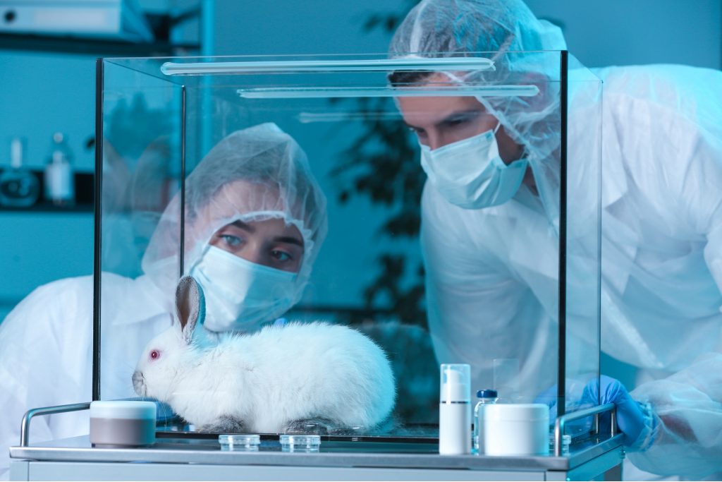 Why Animal Testing Is Unnecessary: Modern Alternatives That Actually Work
